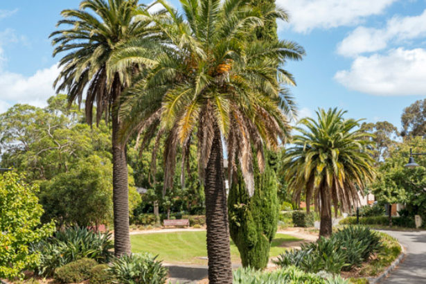 House for Sale in Springthorpe | Real Estate Agent Springthorpe